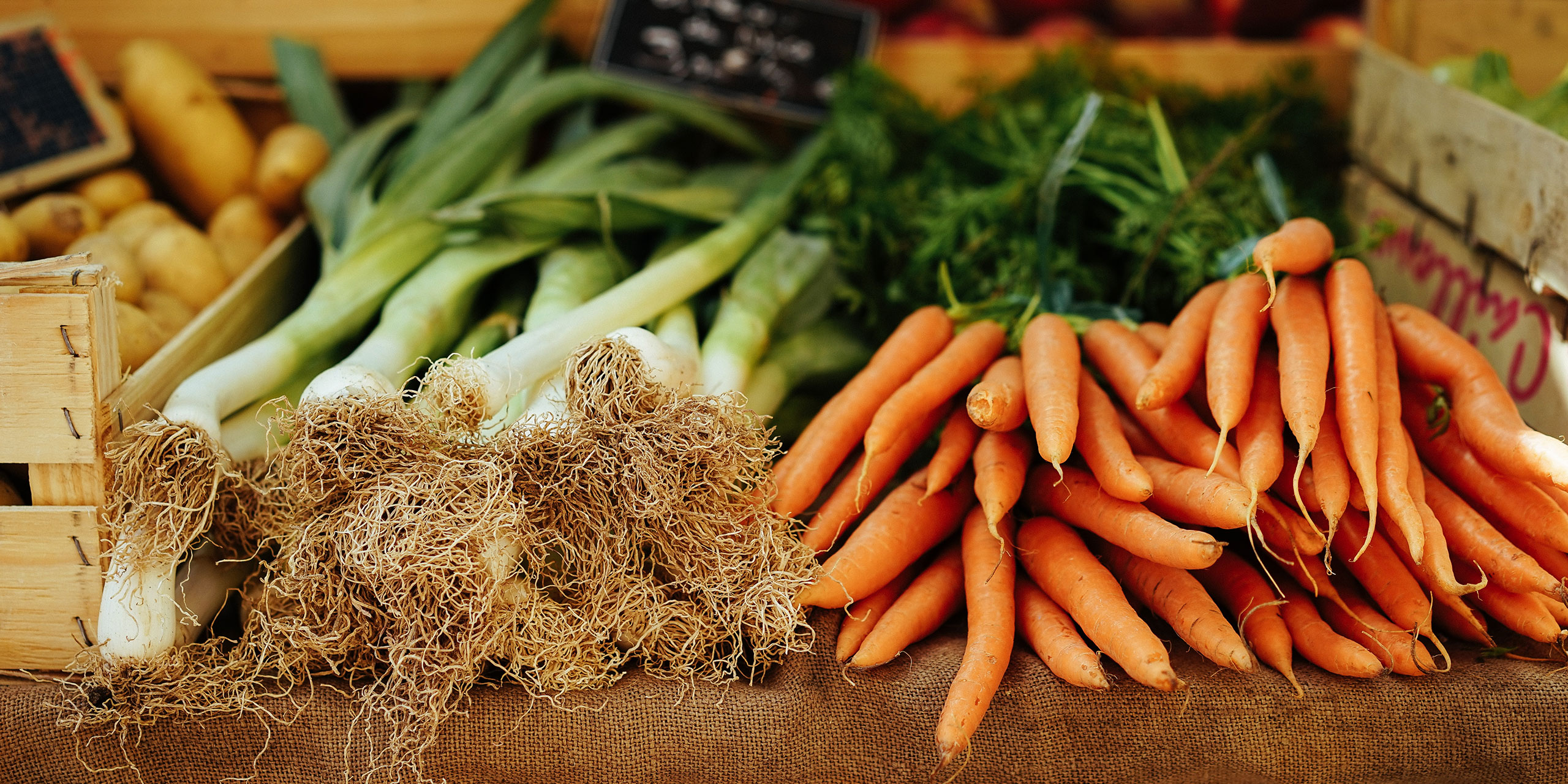 Food Waste Recycling | Saria