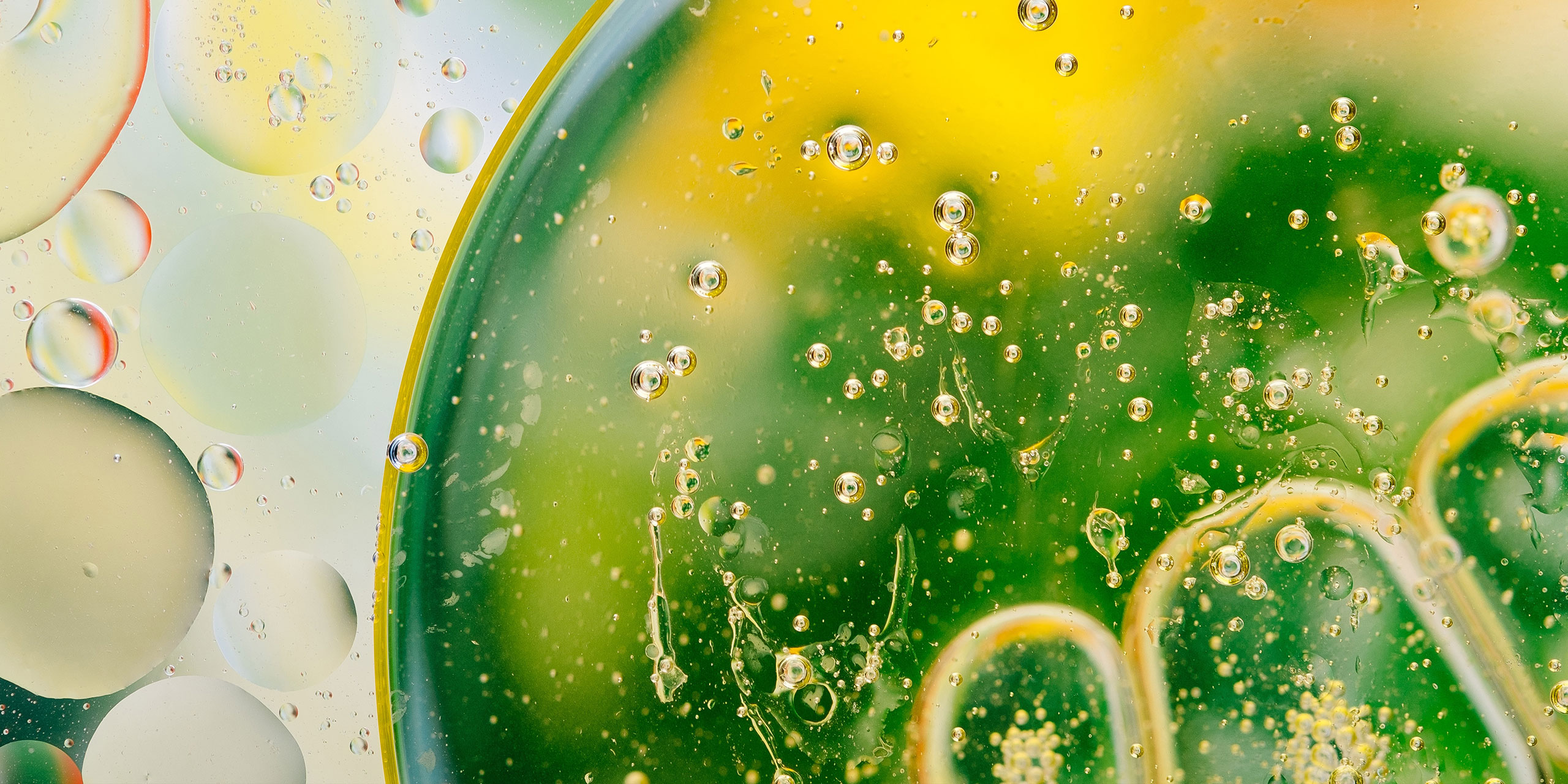 Nortech Foods | Saria